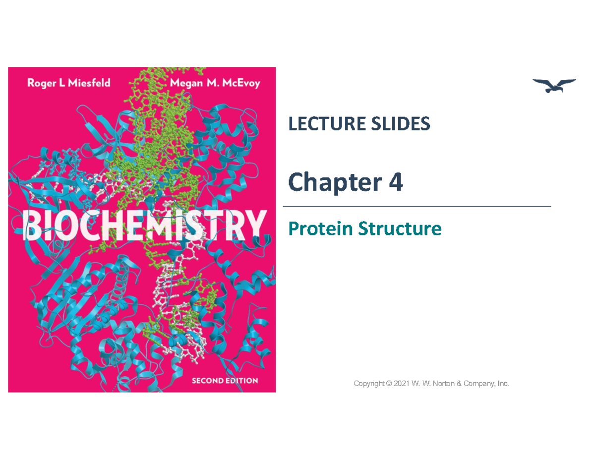 LECTURE SLIDES CH 4: Protein Structure and Folding Overview - Studocu