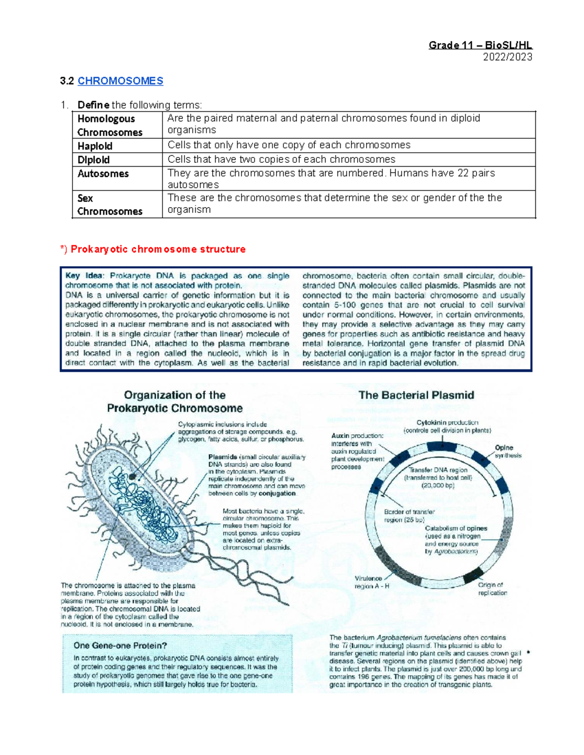 Grade 11 Biology 3.2 Chromosomes: Key Concepts and Comparisons - Studocu