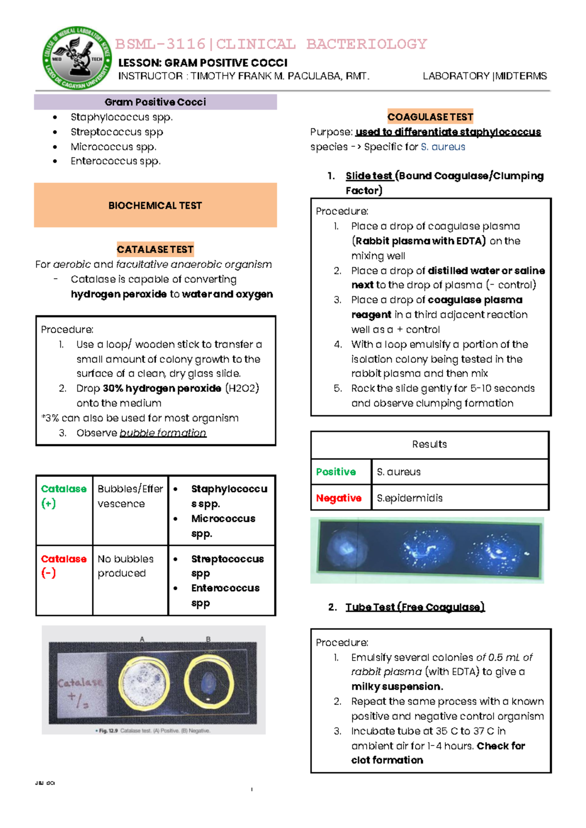 Gram Positive Cocci and Biochemical Tests - LESSON: GRAM POSITIVE COCCI ...