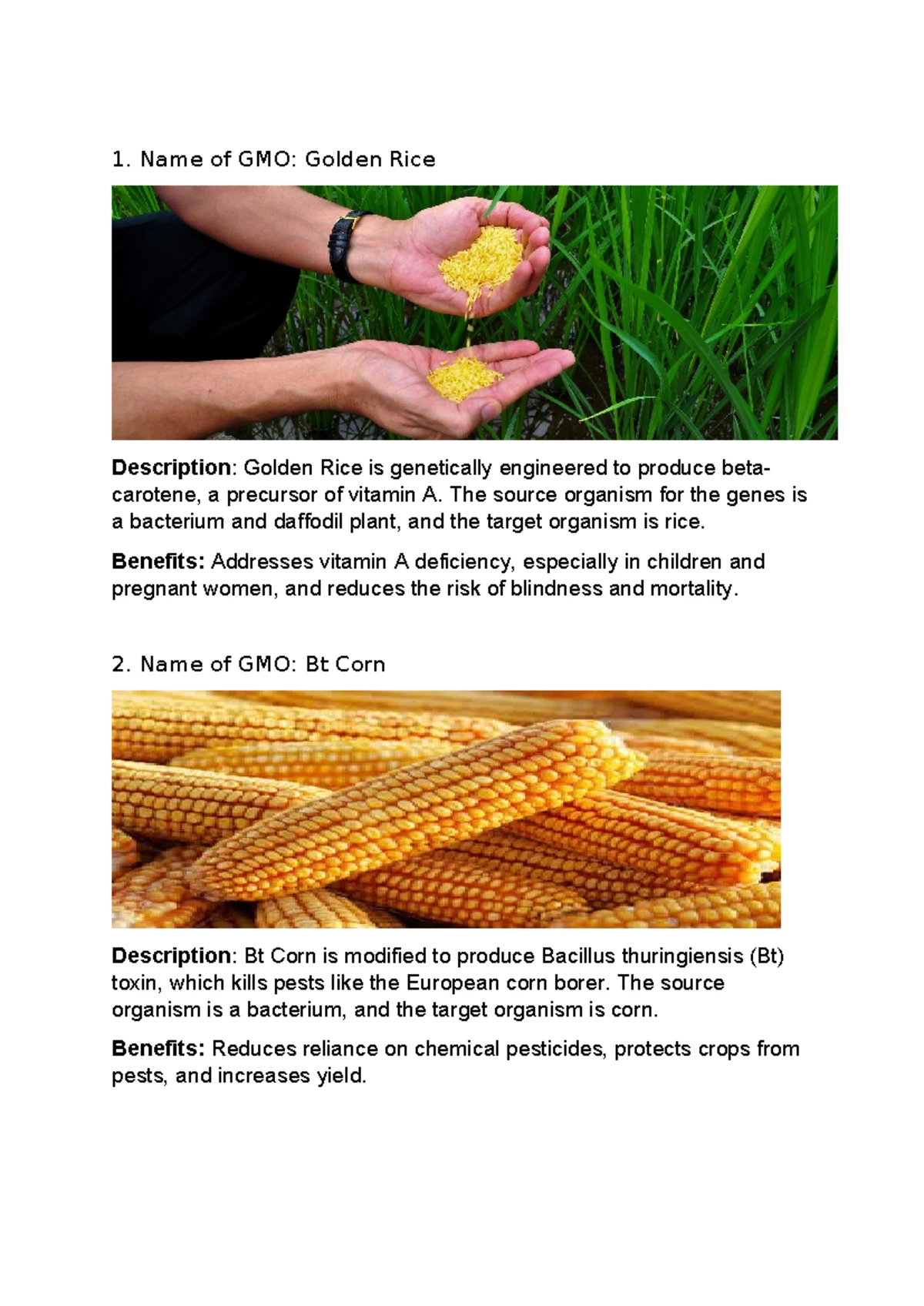 GMO Biology: Exploring Genetically Modified Organisms and Their Impact ...