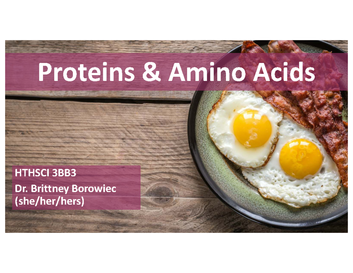 [4A] Proteins and Amino Acids Lecture Notes HTHSCI 3BB3 F2025 - Studocu