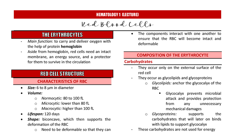 HEMATOLOGY 1 (LECTURE) Lesson 4: Red Blood Cells Overview - Studocu
