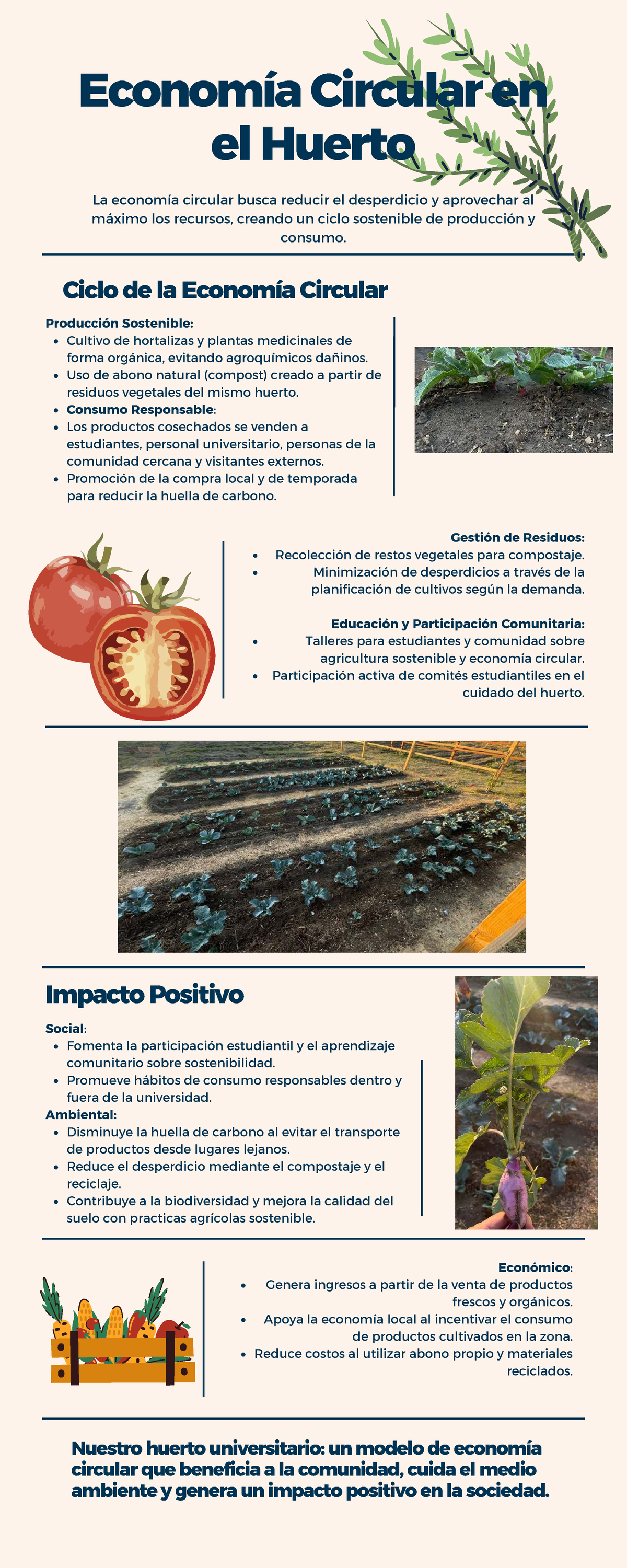 Huerto Escolar: Modelo de Economía Circular y Sostenibilidad - Studocu