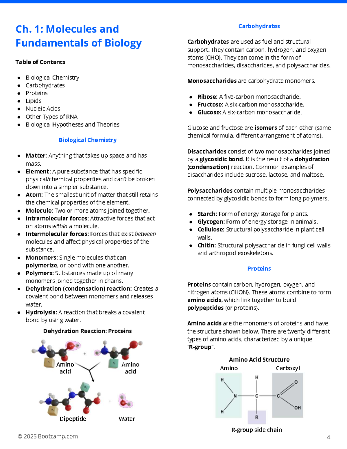 Biology 101: Chapter 1 - Molecules and Fundamentals of Biology - Ch. 1 ...