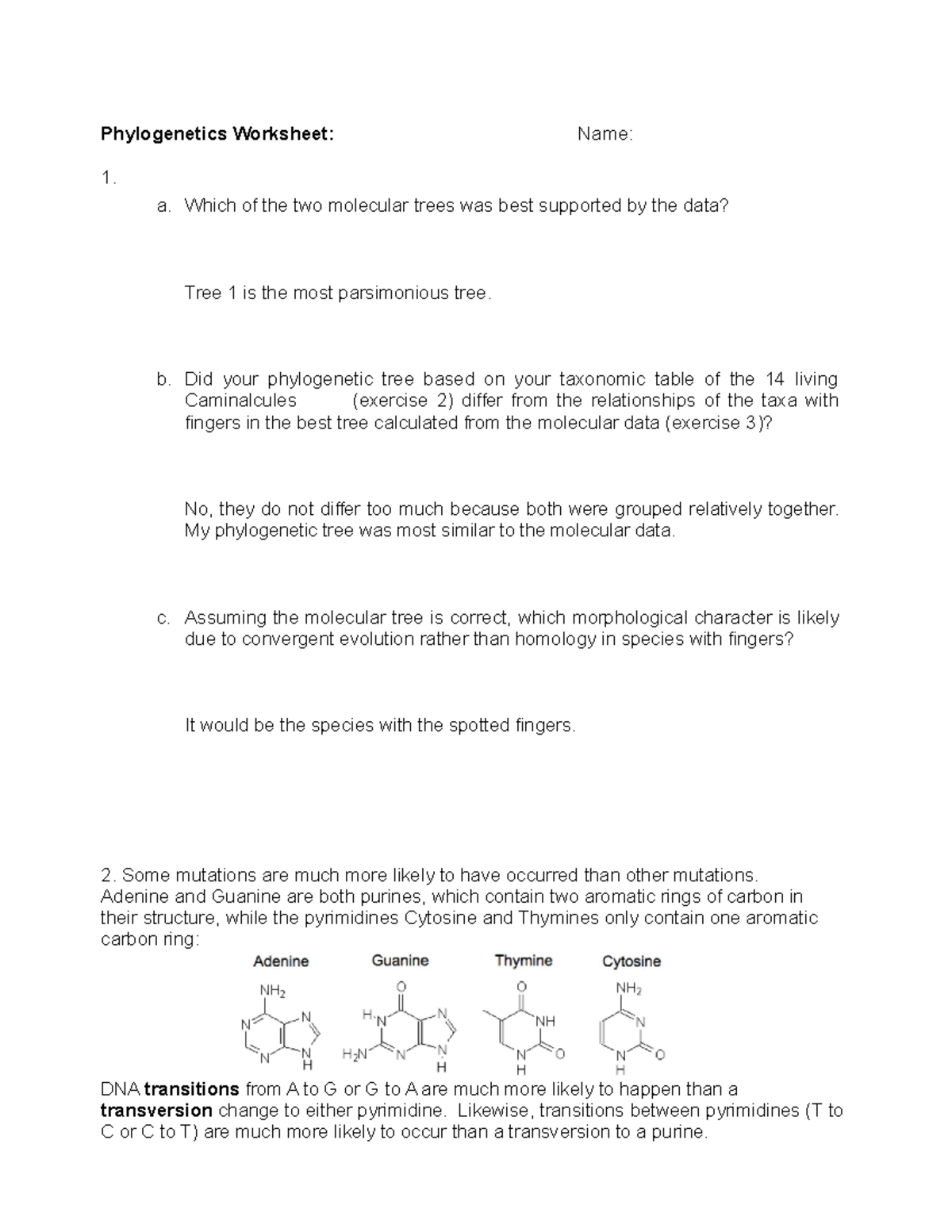 S22 1108L-Phylogenetics Analysis Worksheet and Study Guide - Studocu