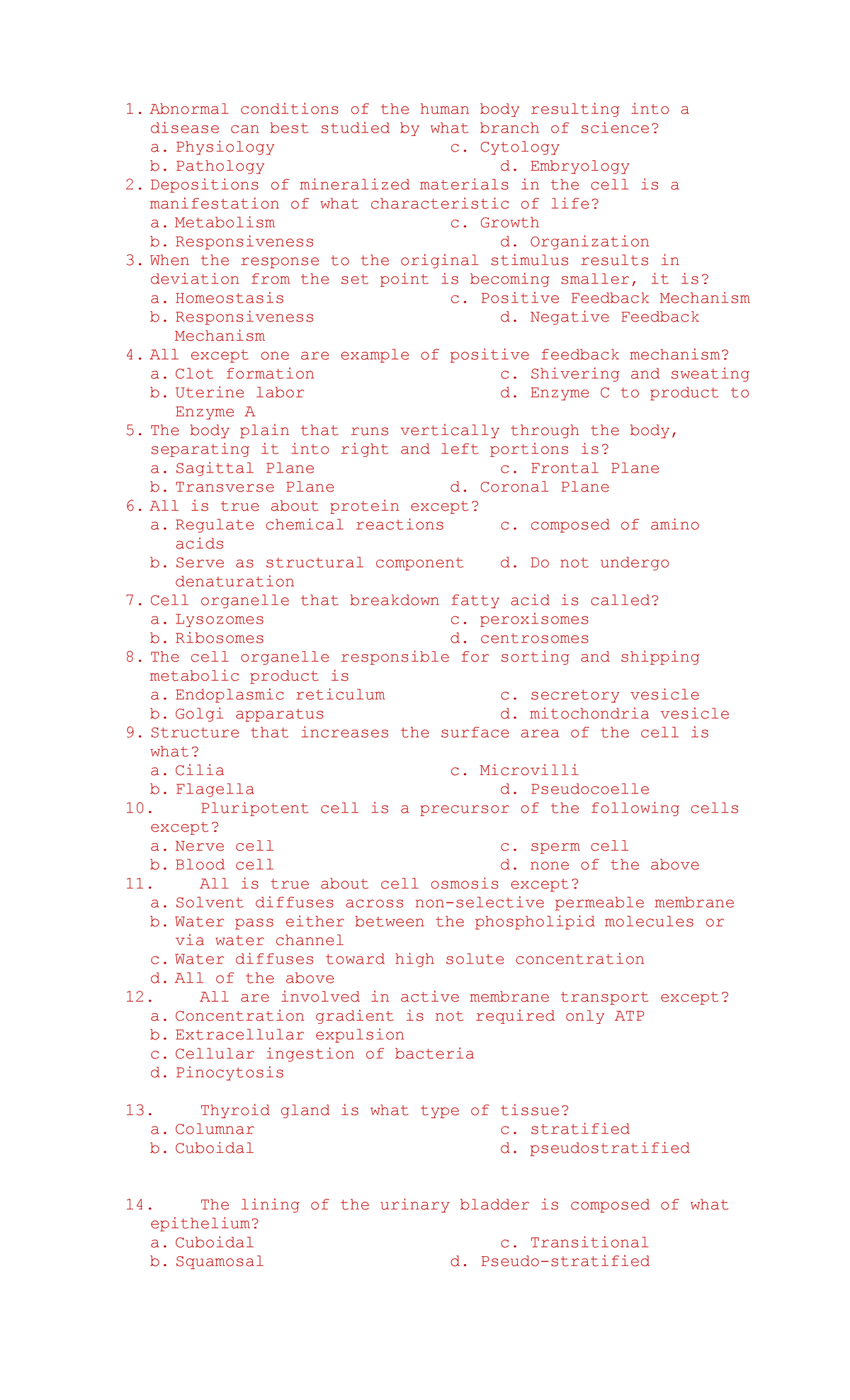 Ana Exam 2024 - Practice Material for Pathology and Physiology - Studocu