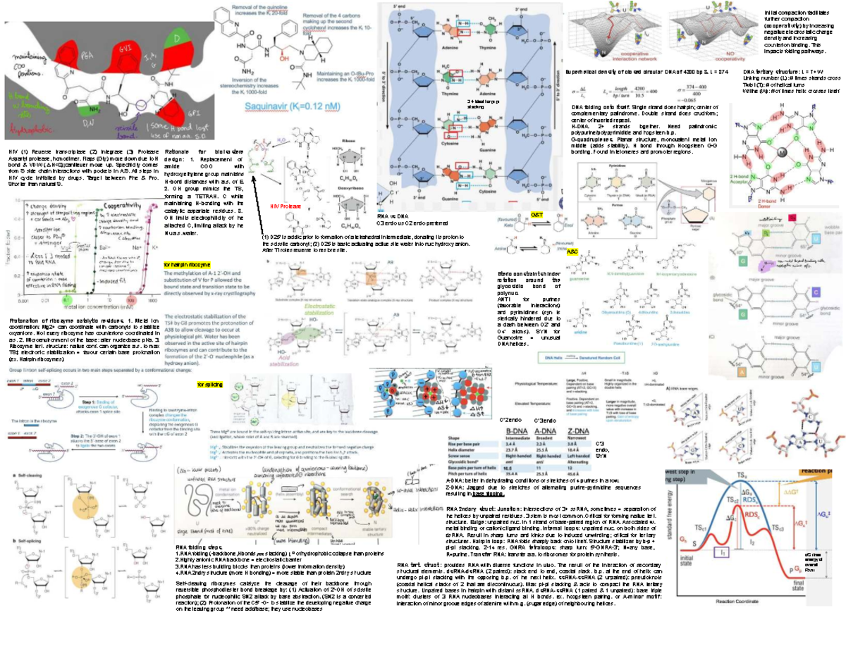 Biochem Cheat Sheet: HIV Mechanisms & RNA Folding Insights - Studocu