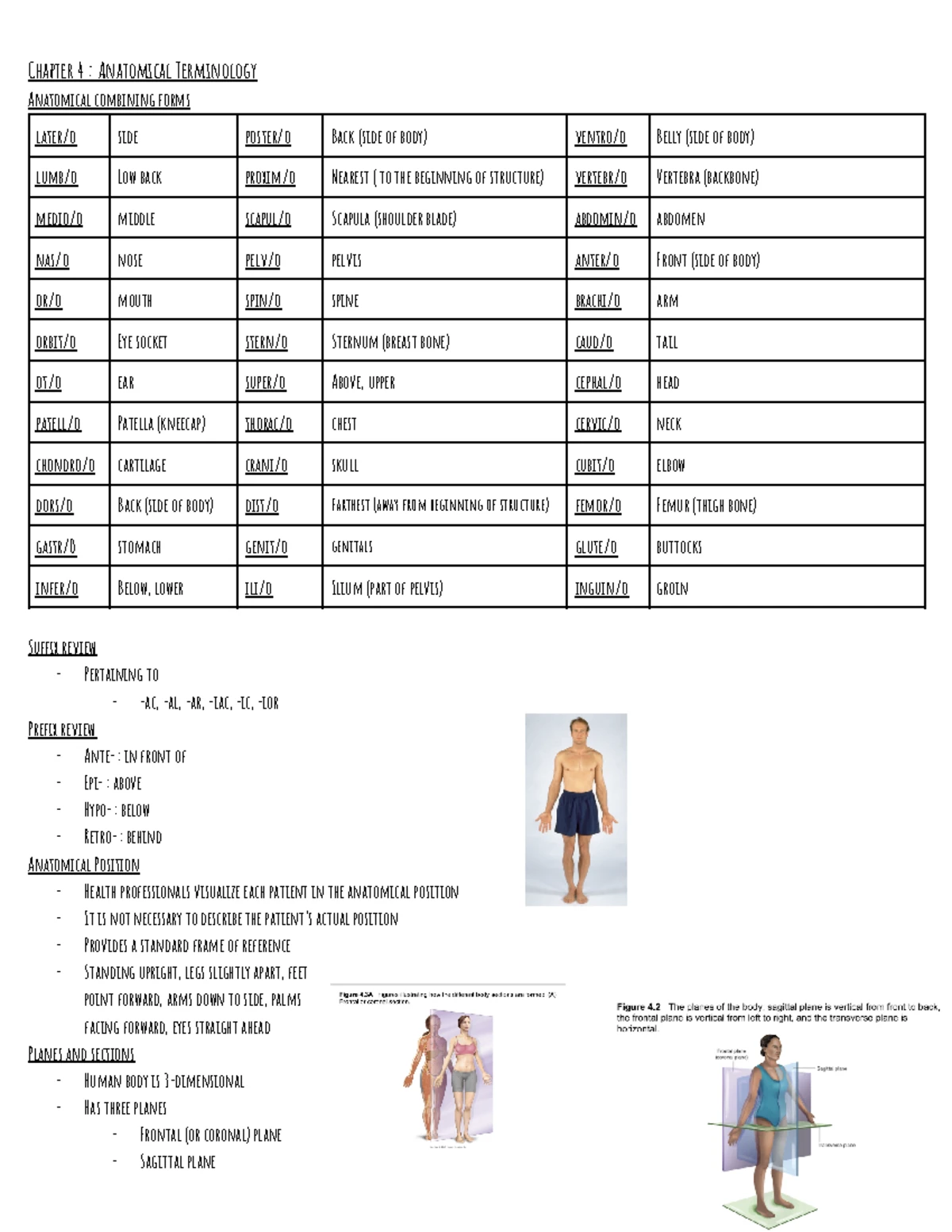Med Term CH 16 - Chapter 16!! - MEDICAL TERMINOLOGY - Chapter 16 ...