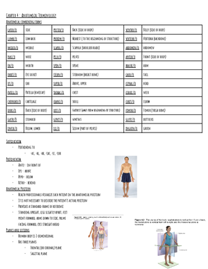 Med Term Ch 12 - chapter 12!! - MEDICAL TERMINOLOGY - Chapter 12 ...