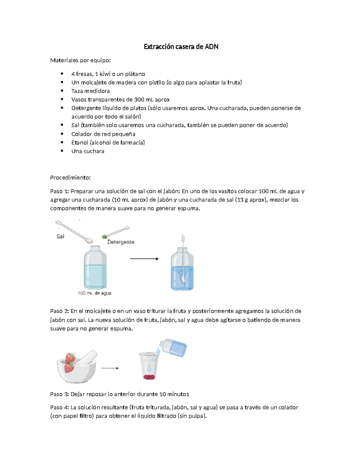 Extraccion ADN Procedimiento - Extracción casera de ADN Materiales por equipo: 4 fresas, 1 kiwi ...