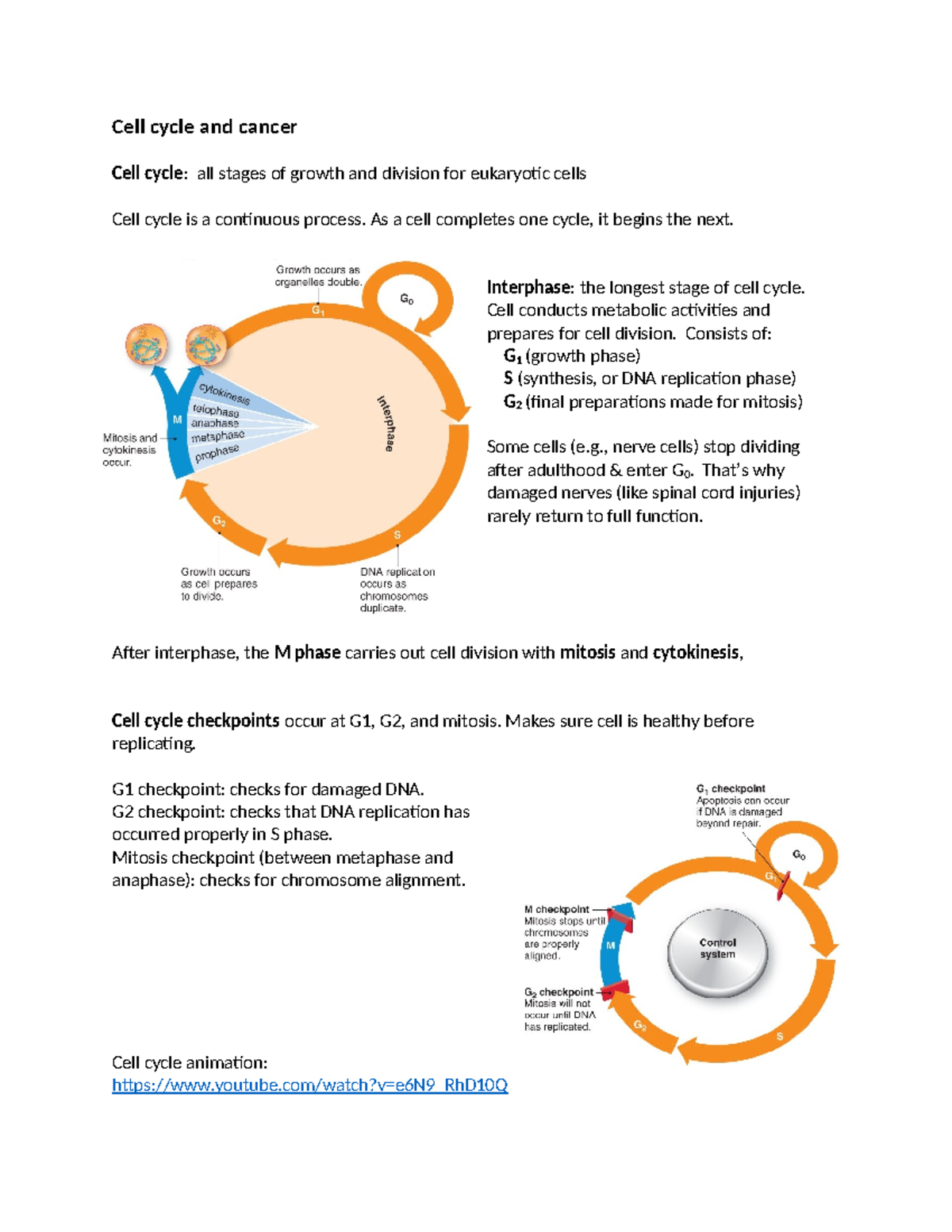 Cell Cycle and Cancer: Growth, Division, and Control Overview - Studocu