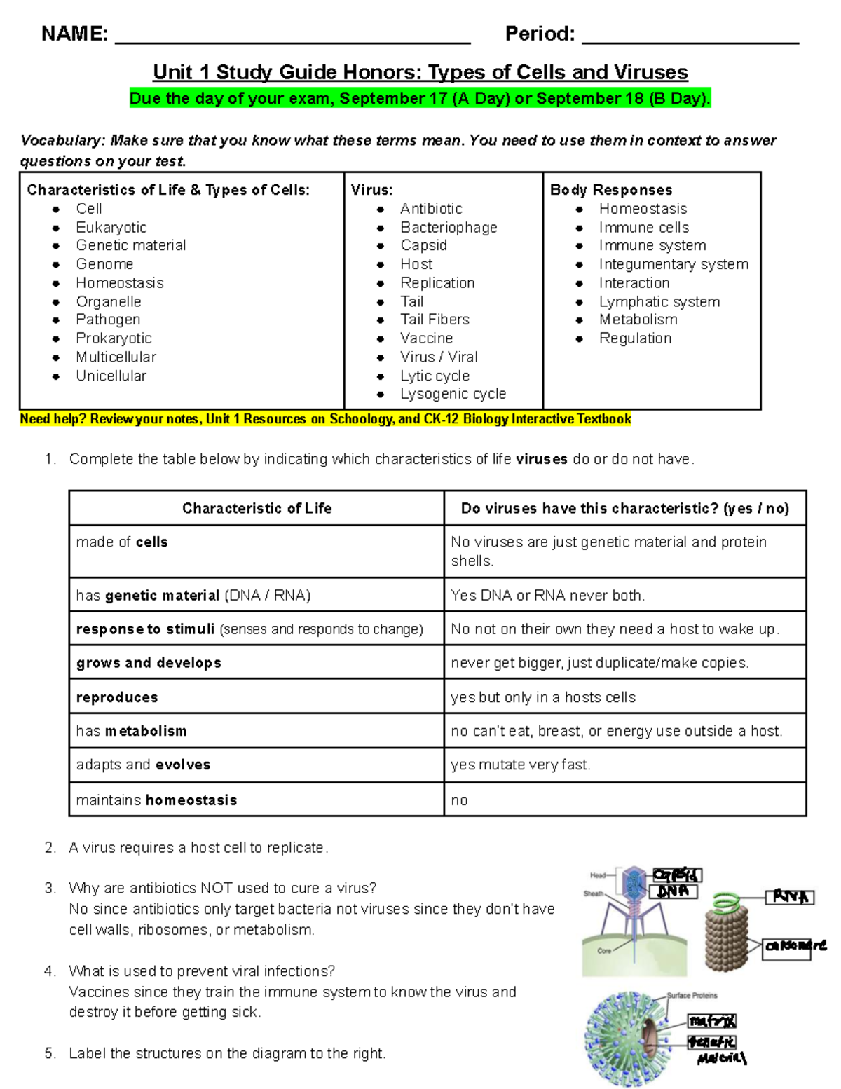 Unit 1 Study Guide: Types of Cells & Viruses (Honors Bio) - Studocu