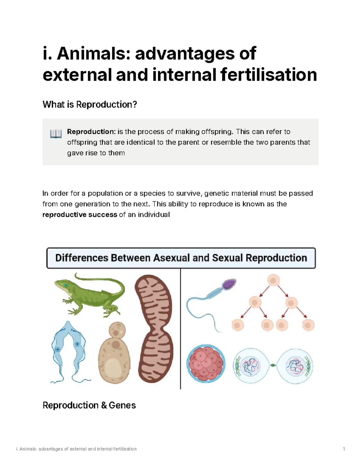 Animals: Advantages of External vs Internal Fertilisation - Studocu