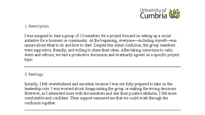 Reflective Cycle Analysis: Leadership Experience in Group Projects ...