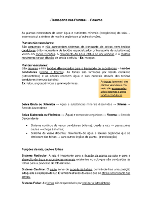 Soluções BioFoco 10º - PROPOSTA DE SOLUÇÕES PÁGINA 8 É constituído por ...