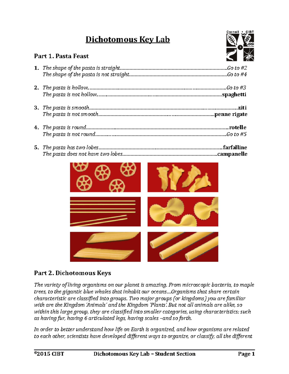 Pasta and Organism Classification Using Dichotomous Keys - BIOL 102 ...