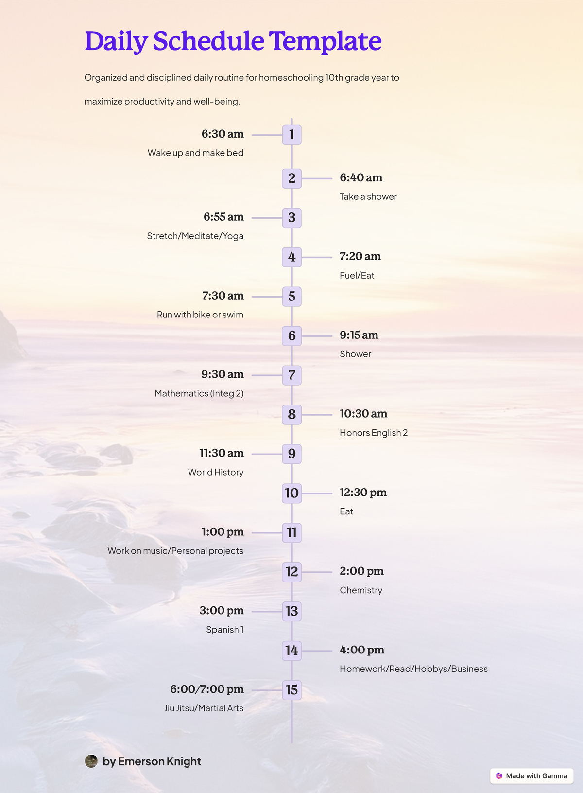 Daily-Schedule-Template - Daily Schedule Template Organized and ...