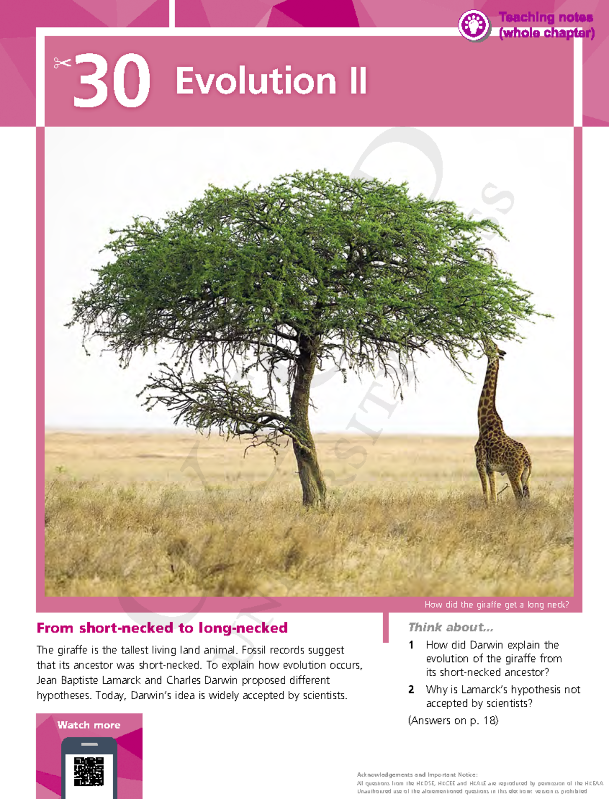 NSSBIO 3E SB4 Ch30: Evolution II - The Giraffe's Long Neck Explained ...