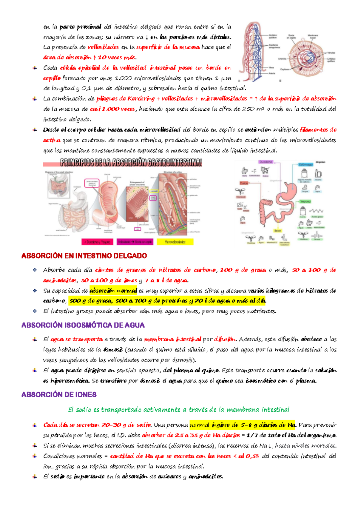 Absorción en el Intestino Delgado y Grueso - Gastro - Cap 66 - en la ...