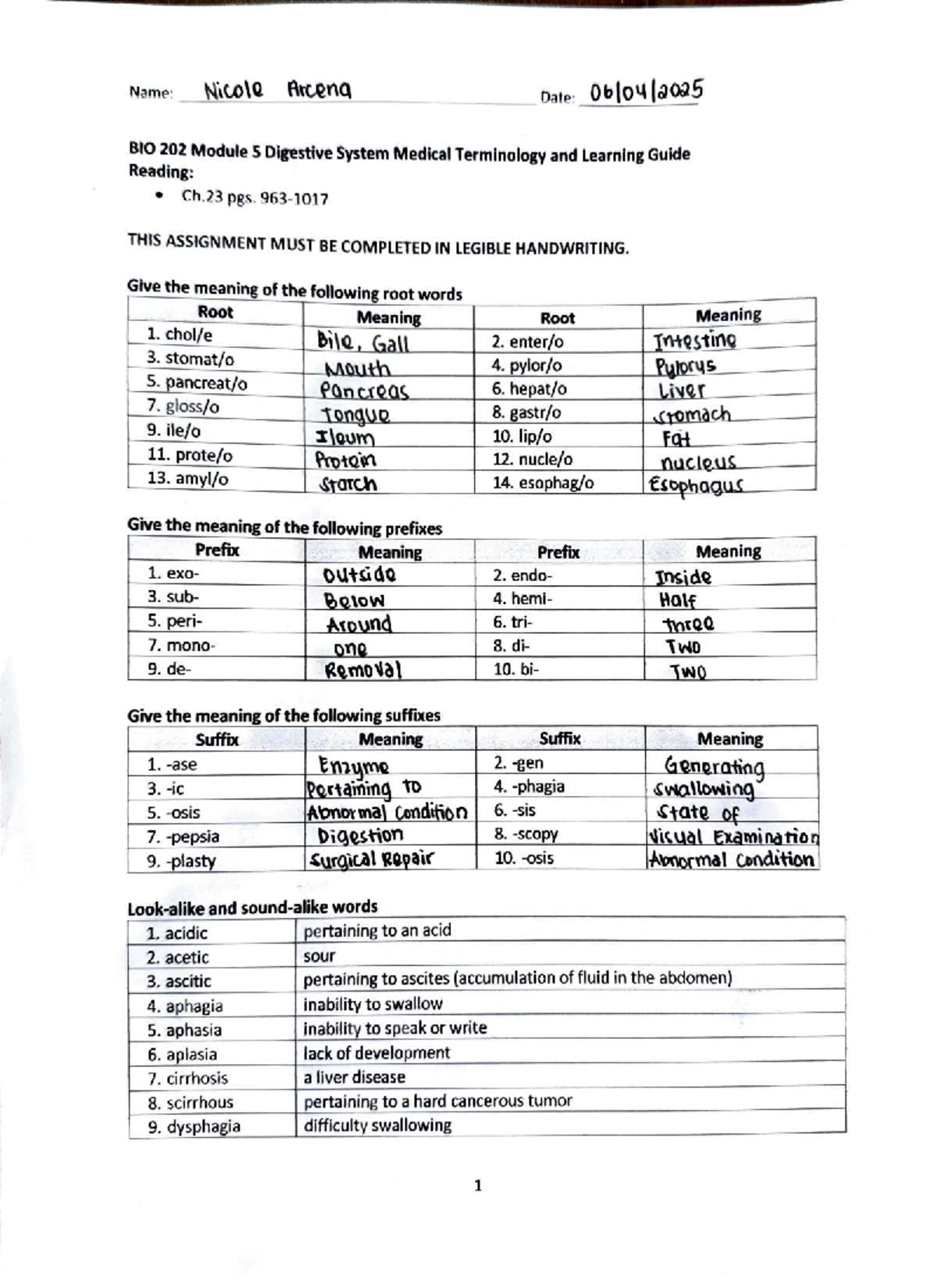 BIO 202 Module 5 Digestive System Medical Terminology Study Guide - Studocu