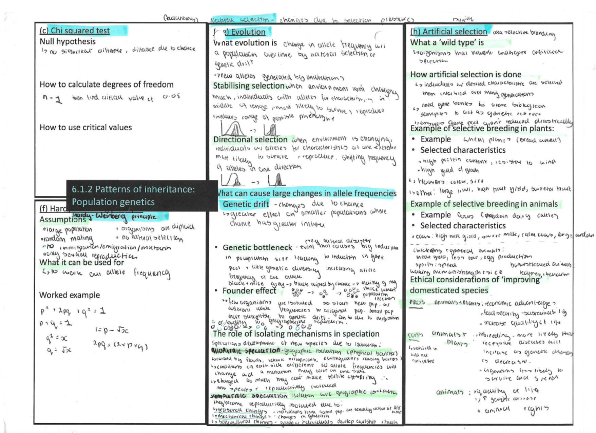 Patterns of Inheritance: A Comprehensive Study Guide (BIO101) - Studocu