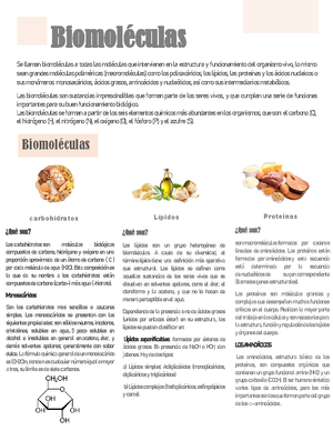 Tipos de hielo, características y su relación con la bioquímica ...