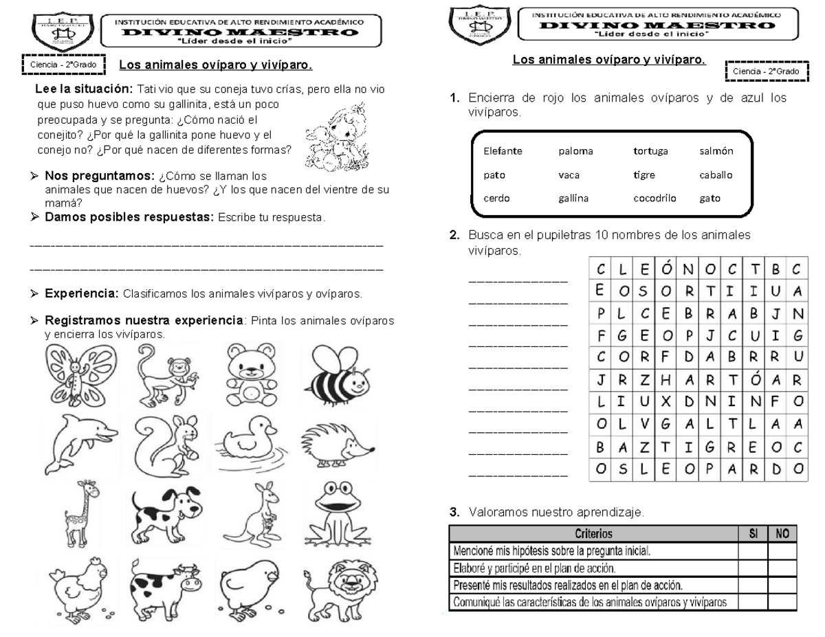 Ciencia 678027877: Animales Ovíparos y Vivíparos - Ficha de Aprendizaje ...