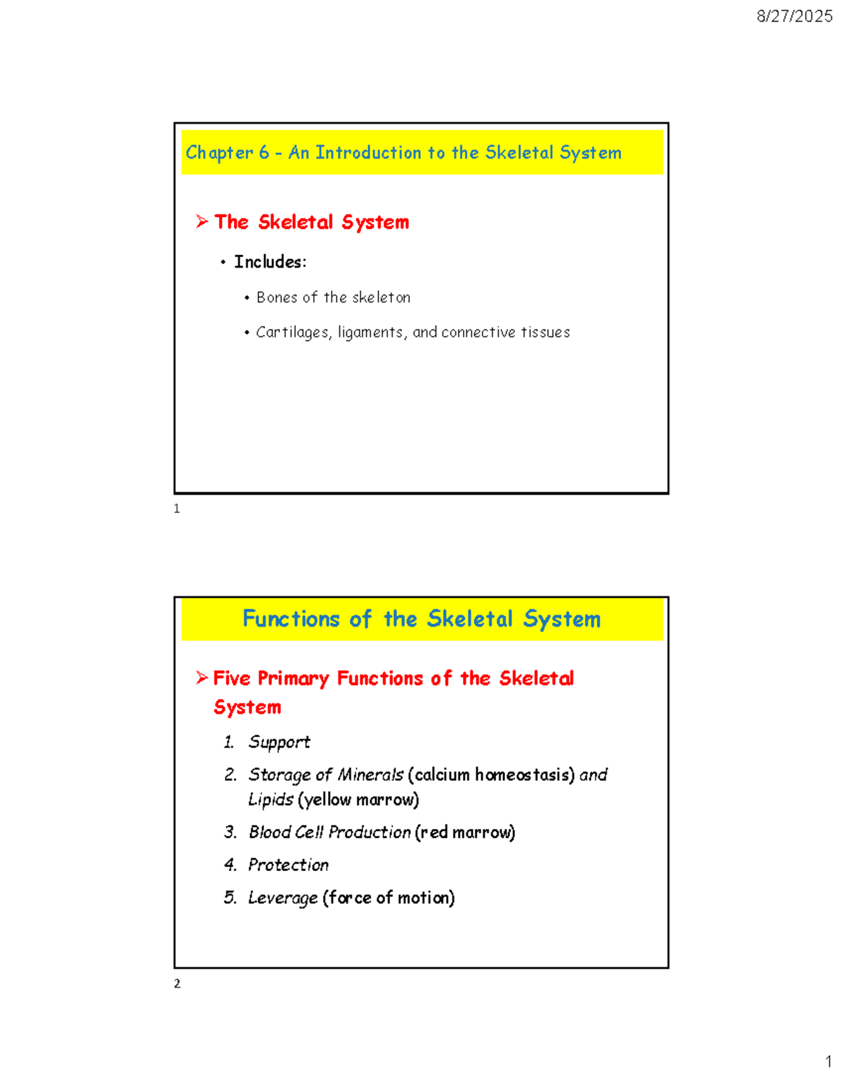 Chapter 6: Bone Structure and Growth in the Skeletal System - Studocu