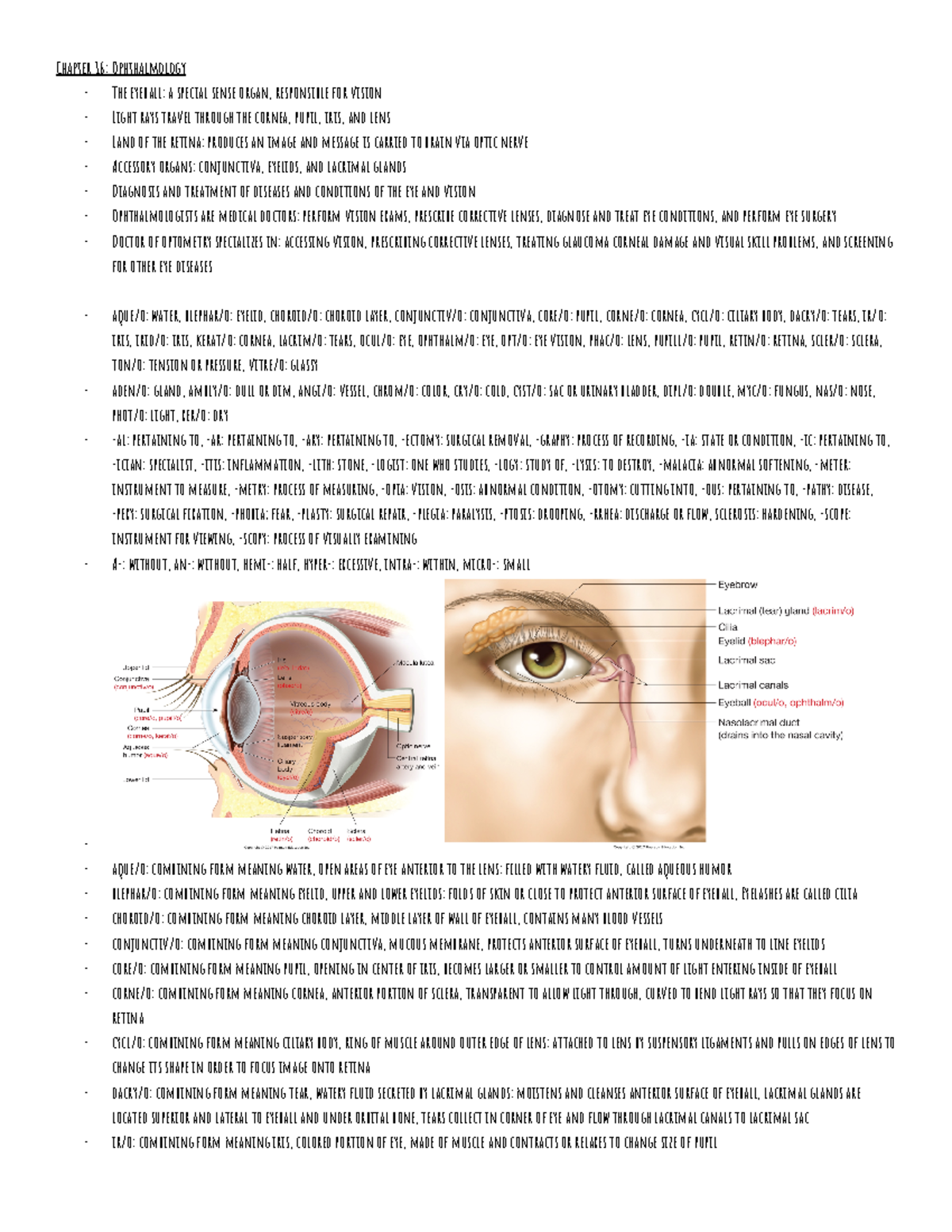 Med Term CH 16 - Chapter 16!! - MEDICAL TERMINOLOGY - Chapter 16 ...