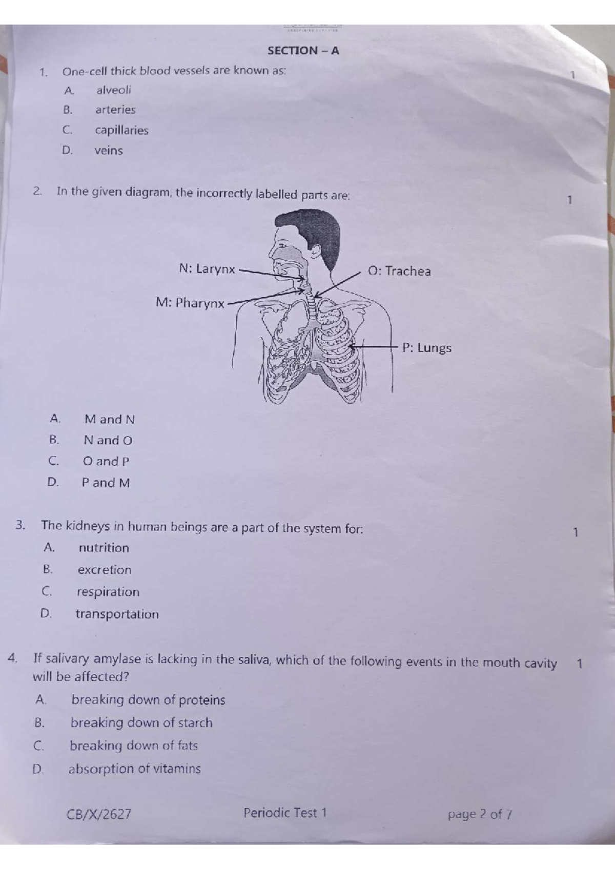 Science PT1 - Periodic Test 1 Questions and Answers - Studocu
