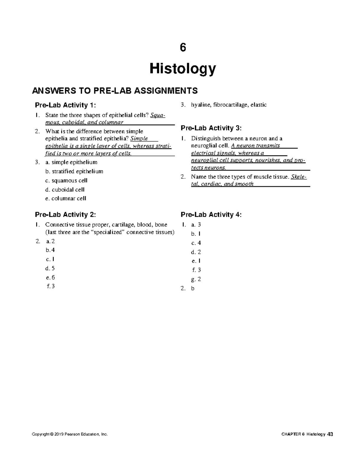 HUMAN ANATOMY PHYSIOLOGY LAB: CH 6 Histology Overview & Answers - Studocu