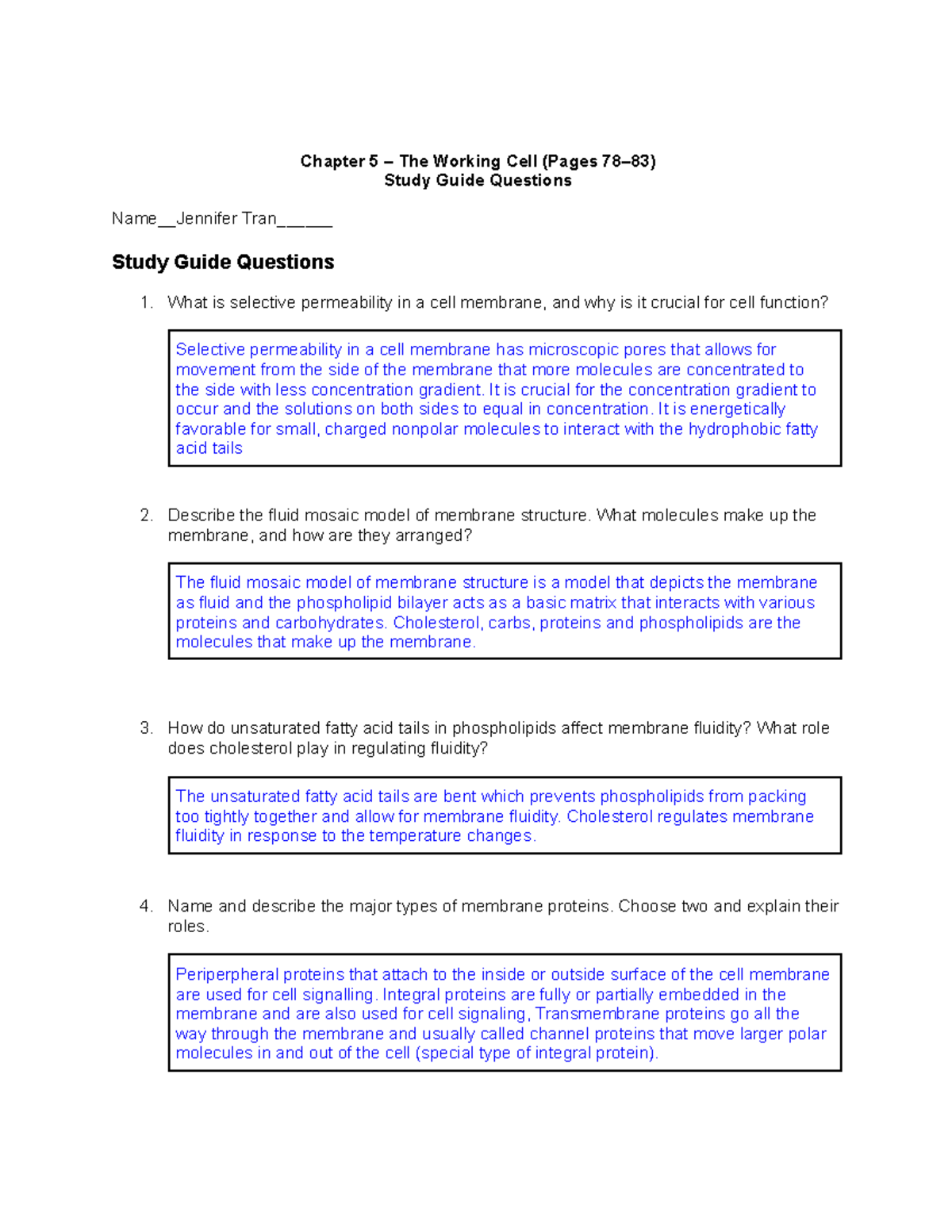 Chapter 5 Study Guide: The Working Cell Concepts & Questions - Studocu