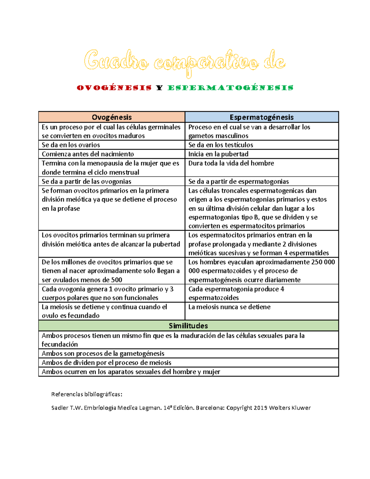 Comparativa de Ovogénesis y Espermatogénesis: Similitudes y Diferencias ...