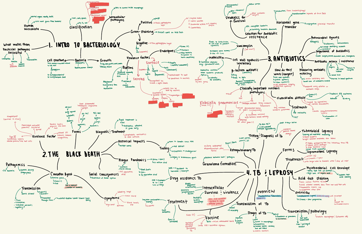 Final Mind Map: Key Concepts in Microbiology and Infectious Diseases ...