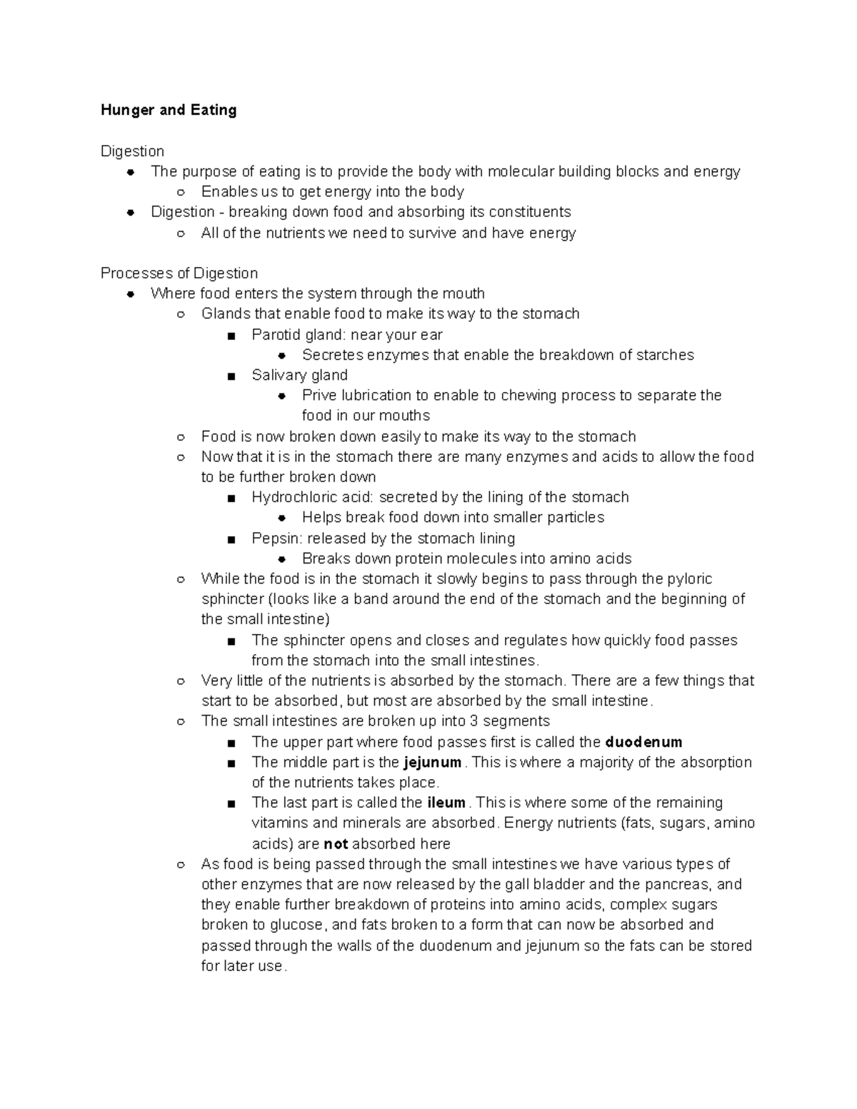 Biopsych 101: Hunger, Digestion, and Energy Storage Notes - Studocu
