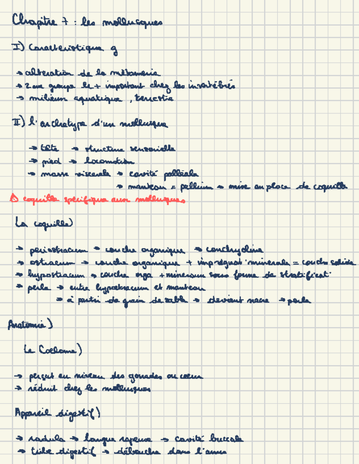 Chapitre 7 : mollusques - Chapitre : les mollusques #) Conacteristique ...