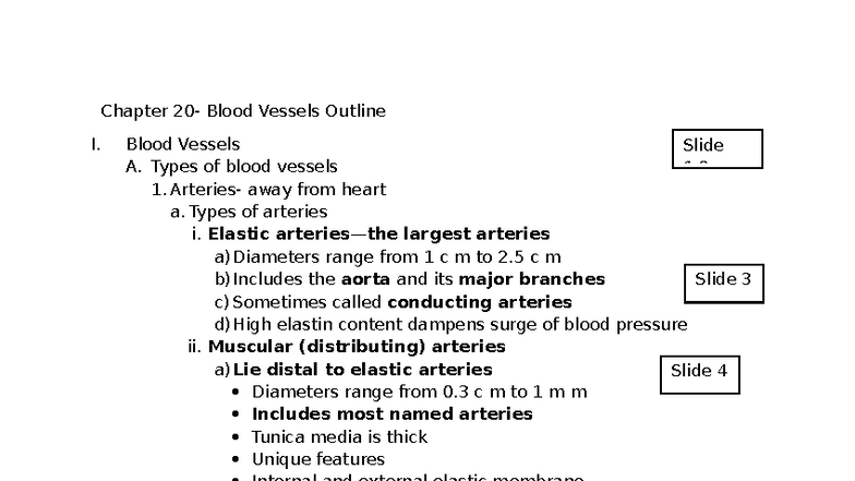 Chapter 3: Arteries and Veins Overview (BIO 101) - Studocu