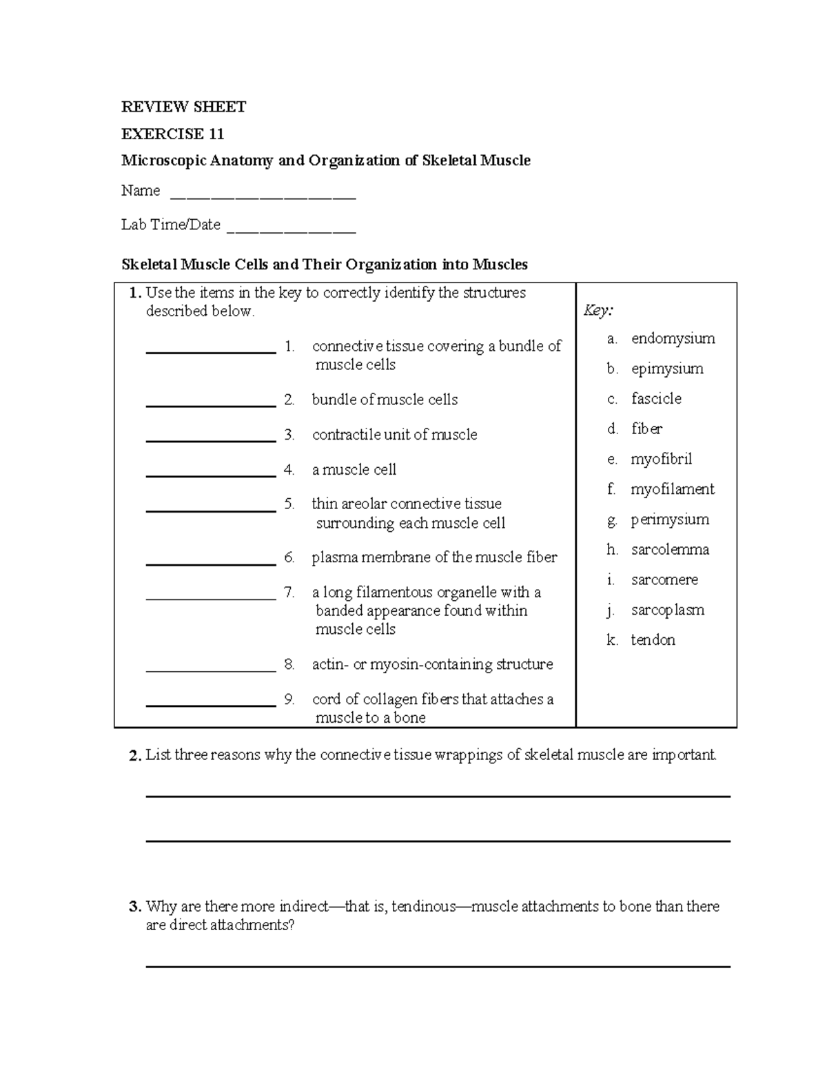 REVIEW SHEET EXERCISE 11: Microscopic Anatomy of Skeletal Muscle - Studocu