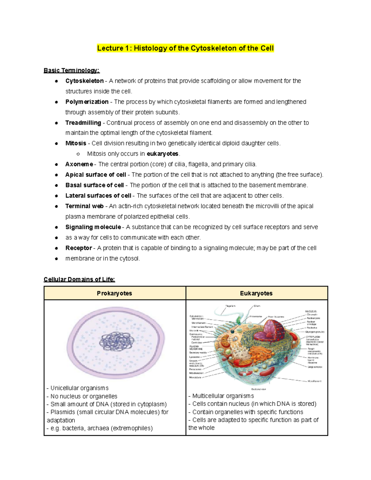 Lecture Notes on Cytoskeleton: Microtubules, Microfilaments ...