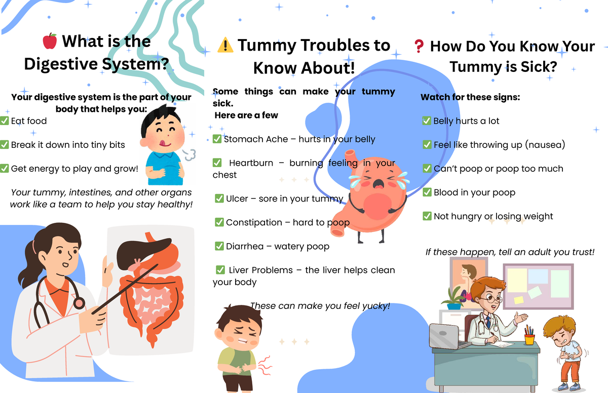 Digestive System Overview: Understanding Tummy Troubles and Health ...