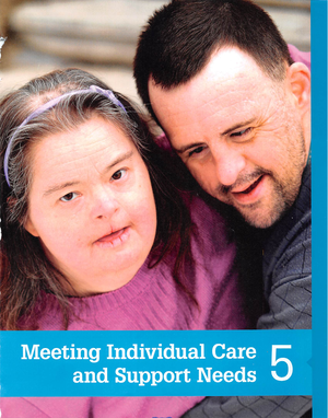 [Solved] Assess how Service users HPs and Carers use the Triangle of ...