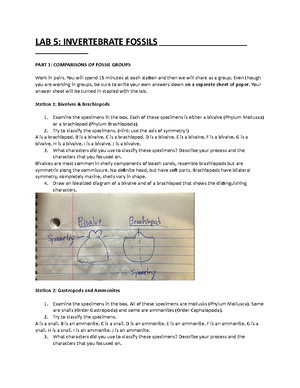 LAB 2 - Lab 2 - Lab Activity: Relative Dating INTRODUCTION When ...