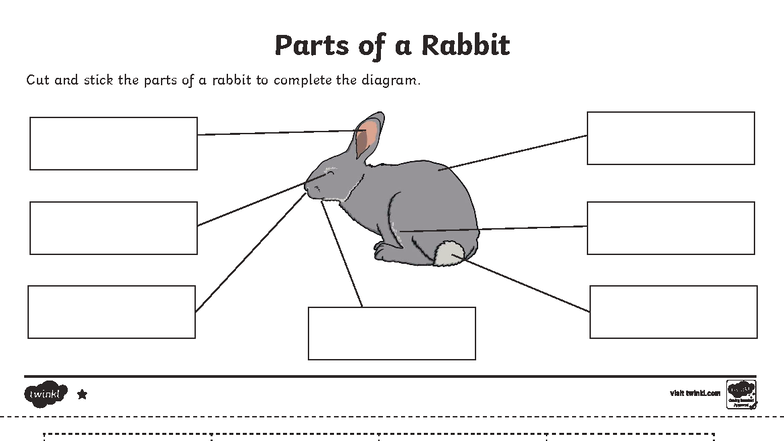 Parts of a Rabbit: Differentiated Activity Sheet for Labeling - Studocu