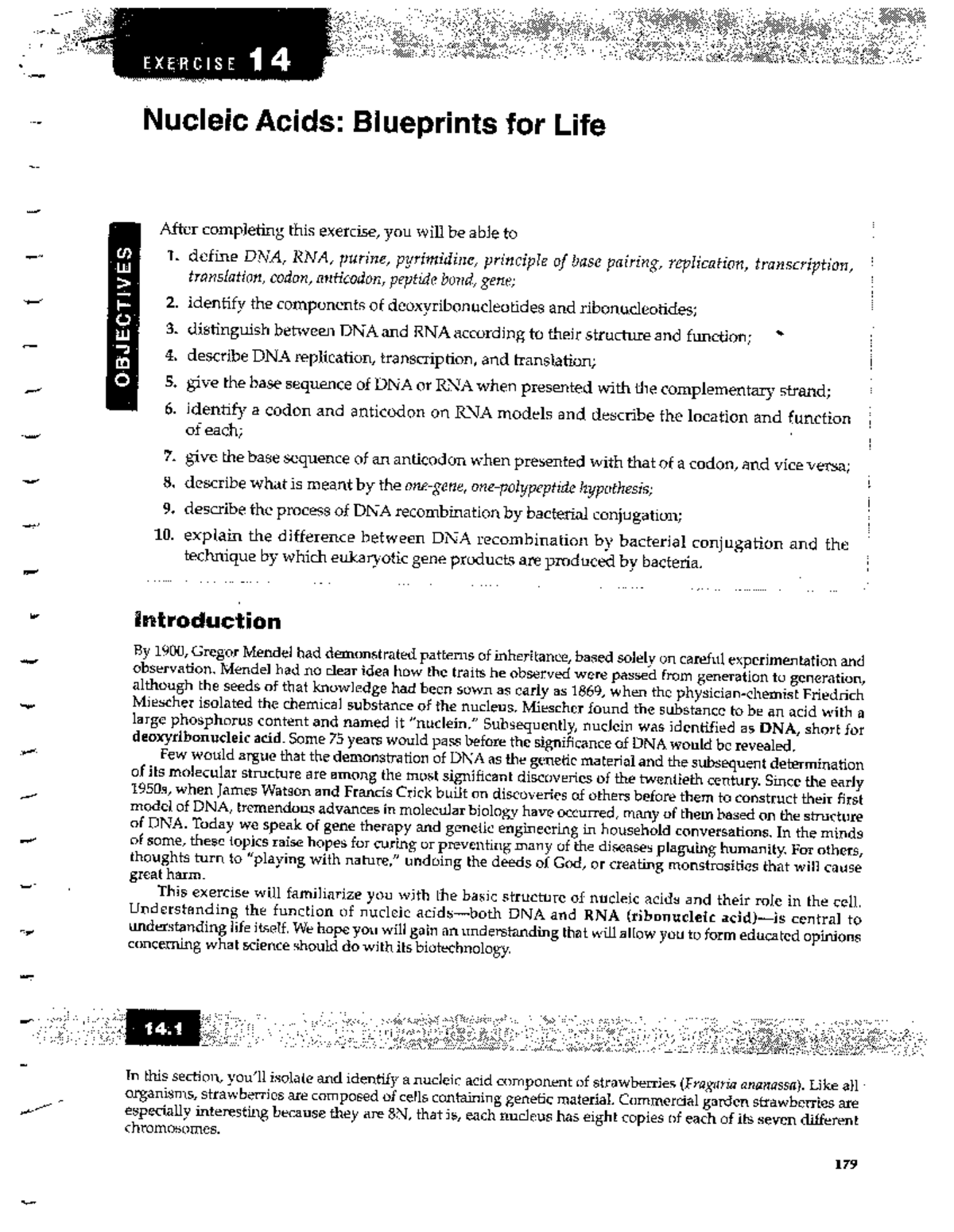 CS101 Midterm Exam Study Guide: Nucleic Acids and Their Functions - Studocu