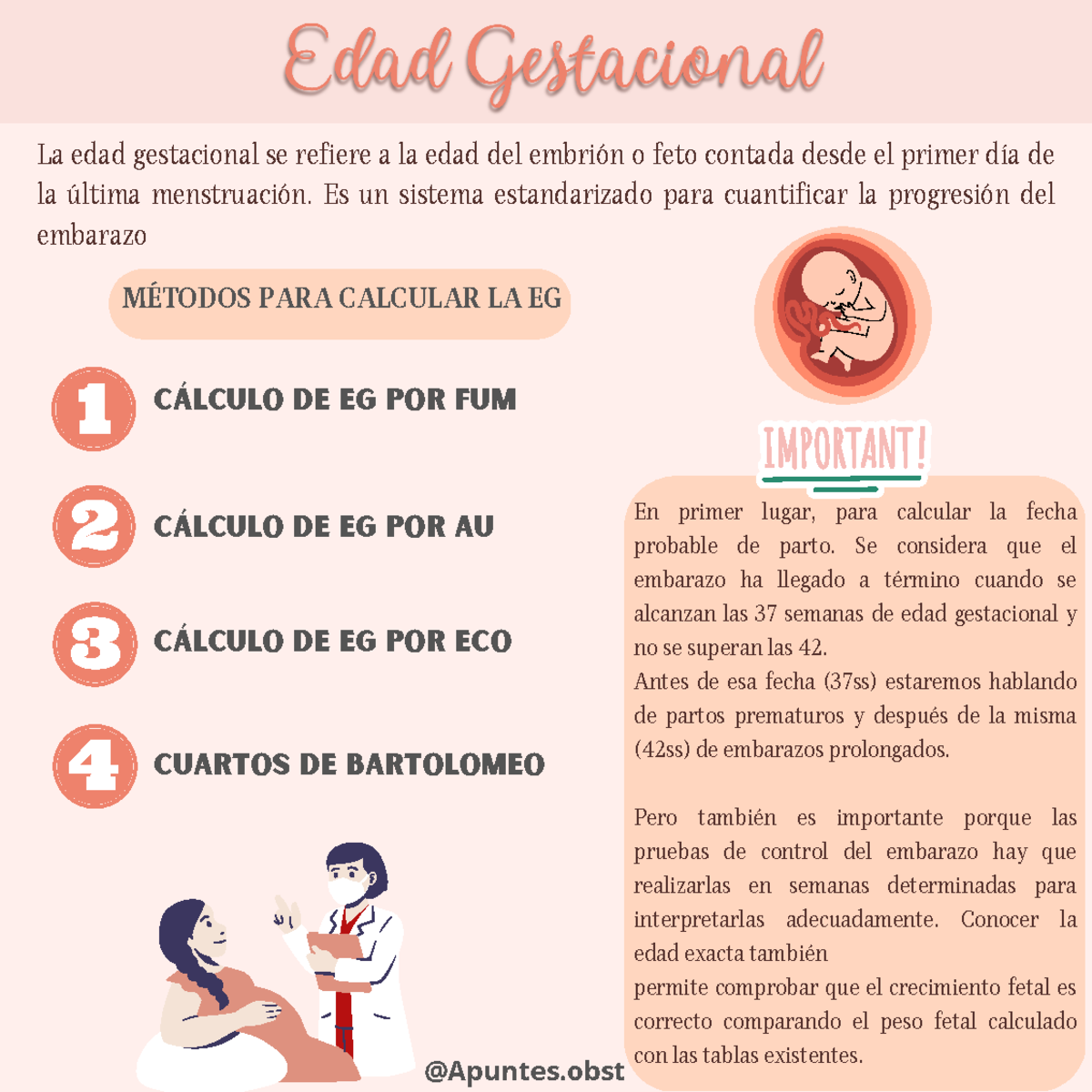 EDAD GESTACIONAL - La edad gestacional se refiere a la edad del embrión ...