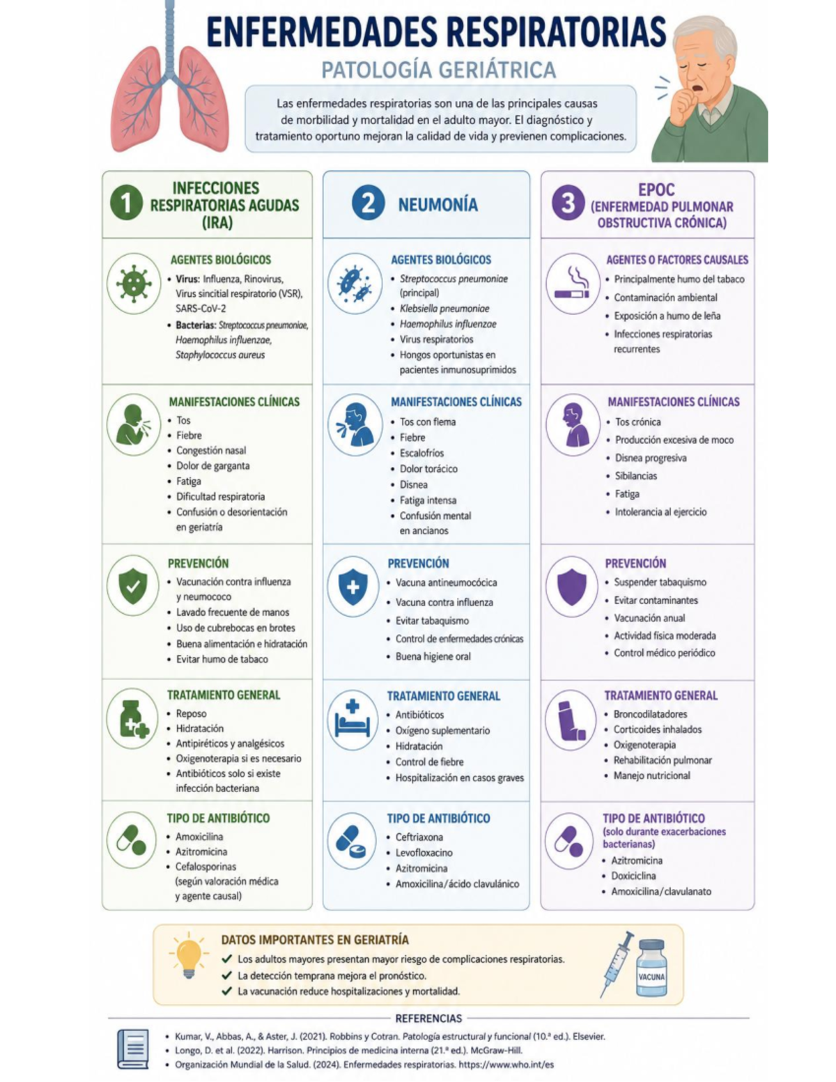 Infografía sobre Enfermedades Respiratorias en Geriatría - Studocu
