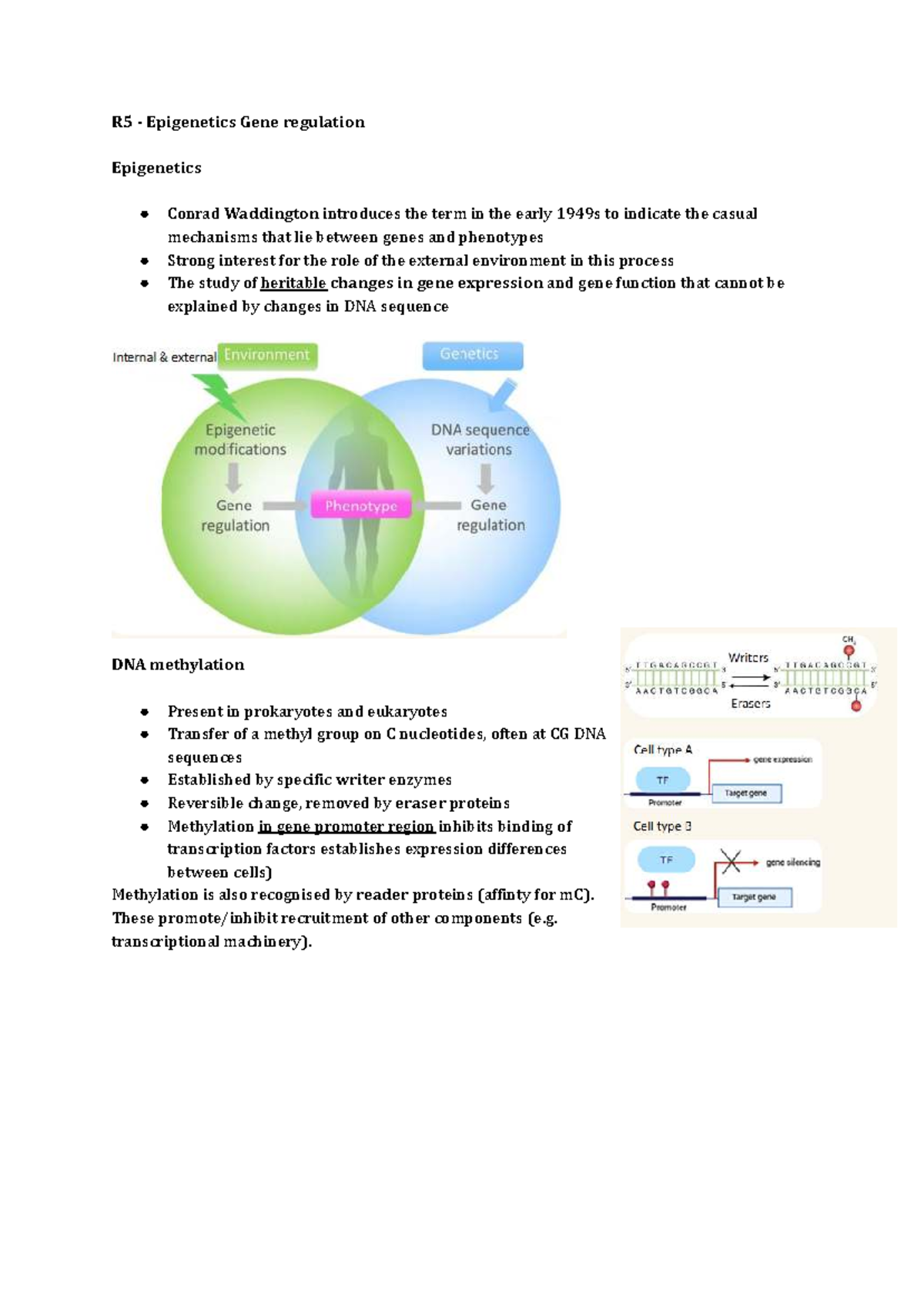 Genetics and Evolution 2B: Week 2 - Epigenetics and DNA Damage Insights ...