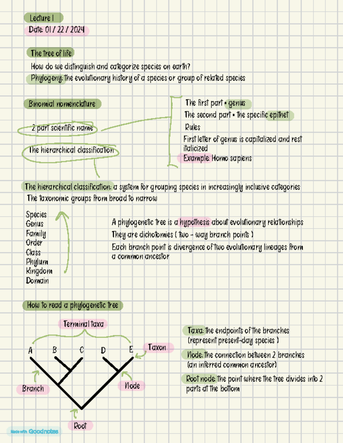 Physiology lecture notes 1 - Lecture l Date: 01 / 22 / 2024 The tree of ...
