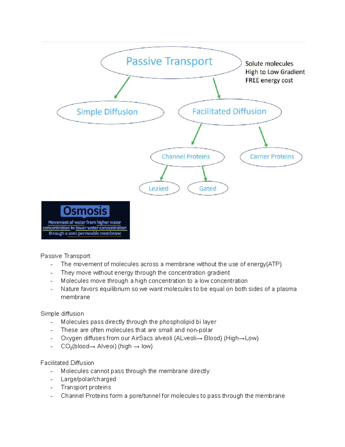Cellular Biology: Passive Transport & Osmosis Overview (CB 101) - Studocu