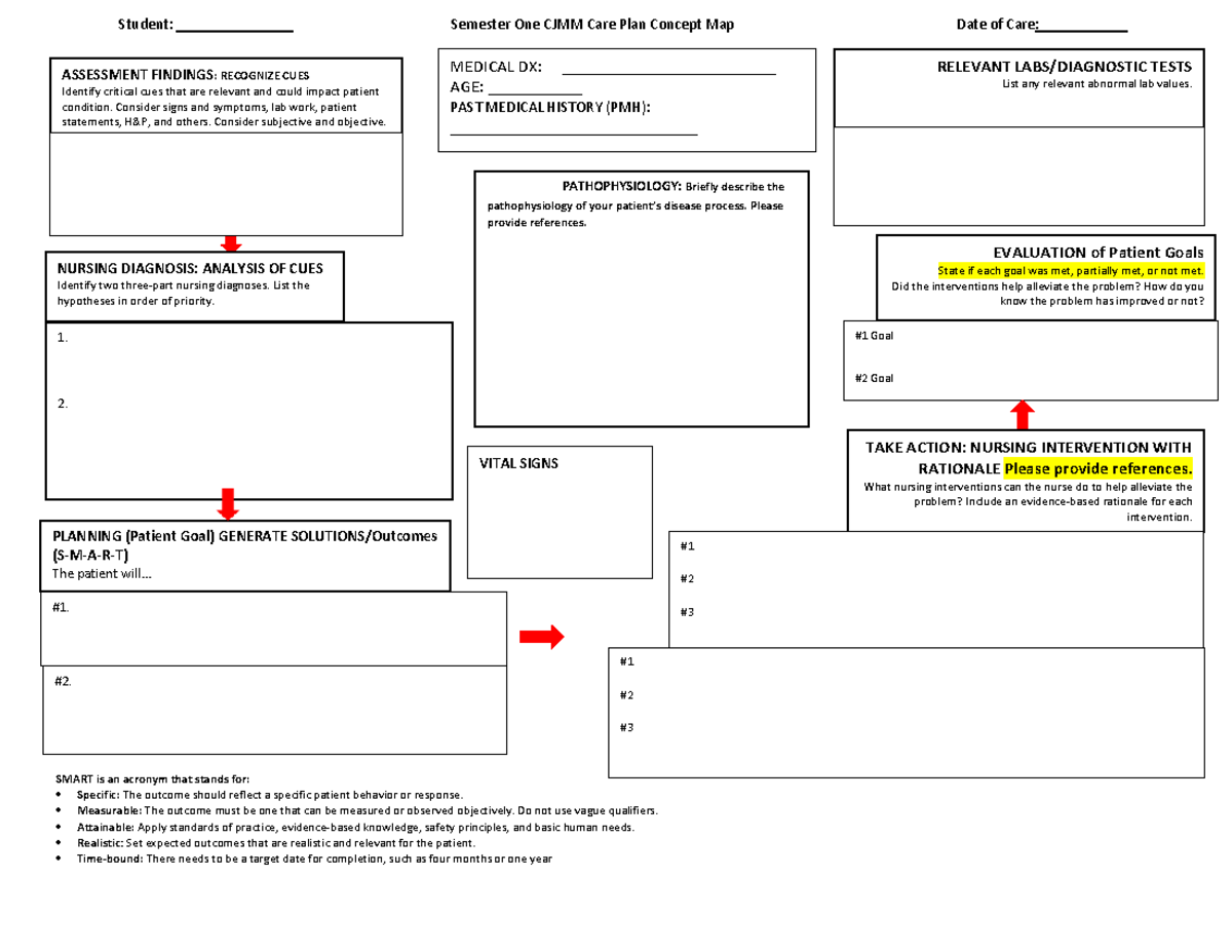 CJMM 101: Semester One Care Plan Concept Map & Assessment Findings ...